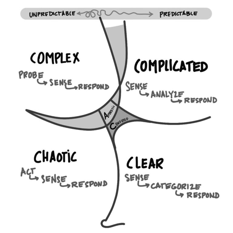 Leadership Decision Making with Cynefin® Basecamp - The Cynefin Co. Brazil